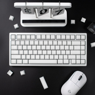 Aifei X-ray Keycaps 114 Keys white Translucent ABS Double shot cherry ...