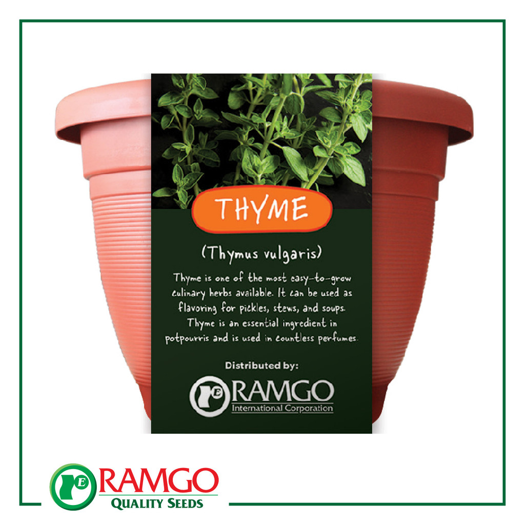 RGK Ramgo Thyme Grow Kit | Shopee Philippines