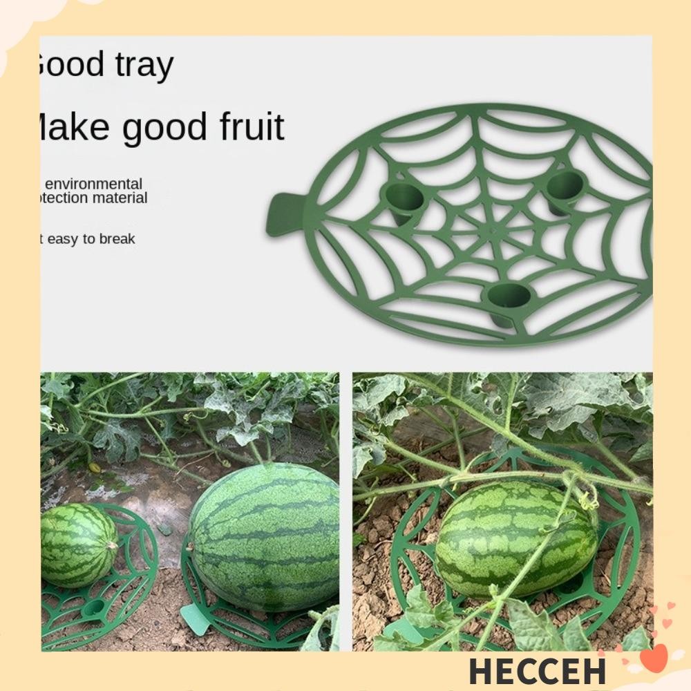 HECCEH 5pcs Watermelon Stand Frame, Holder Pumpkin Watermelon ...