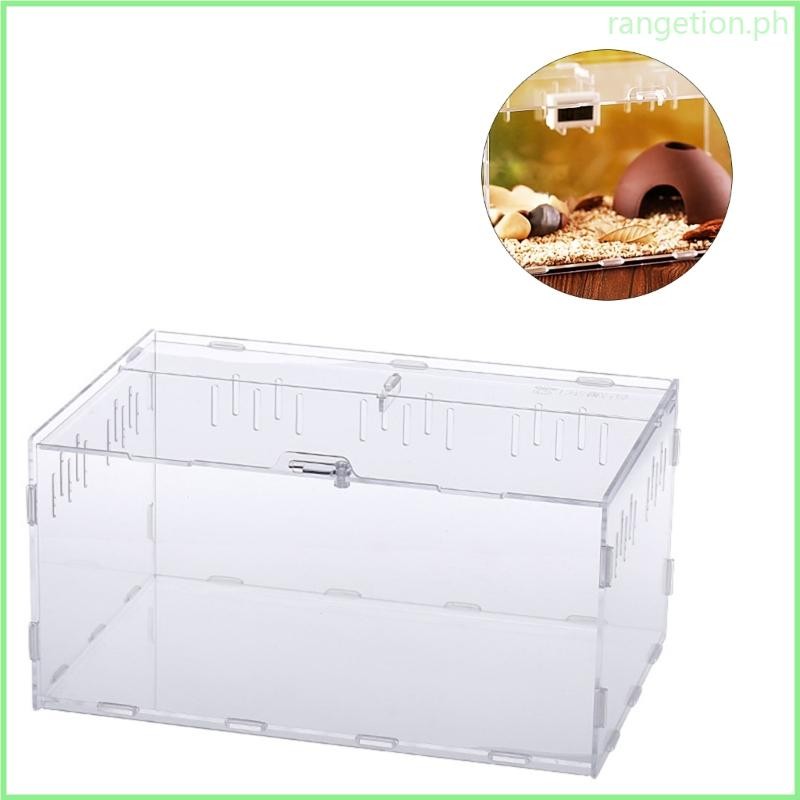 RAN Insect Feeding Box Transparent Acrylic Container Terrarium for ...