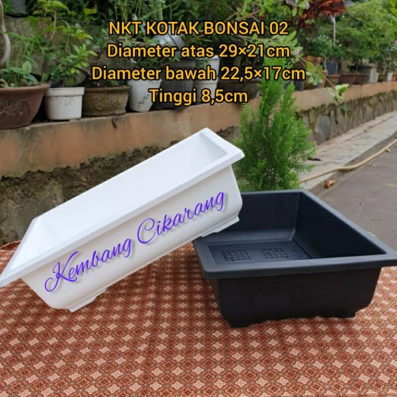(1pc) NKT BONSAI Box 02 (29x21cm) - Box 01 (22x16cm): nice, thick ...