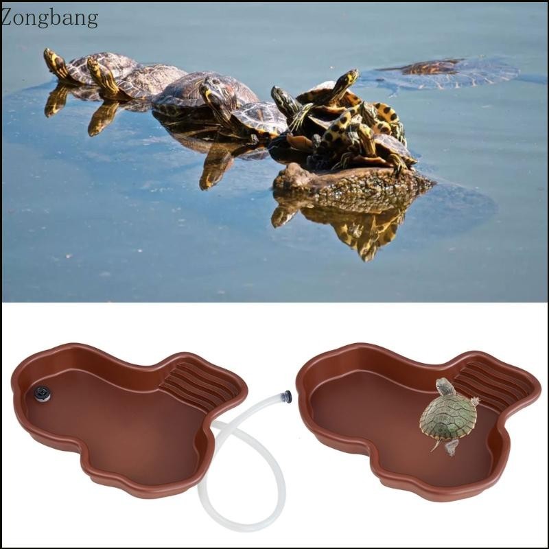 Zone Turtle Bathing Bath Tub with Slope Turtle Resting Island Aquariums ...