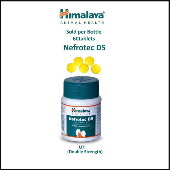 Nefrotec DS for Dogs and Cats ( Authentic Himalaya Product ) Kidney ...