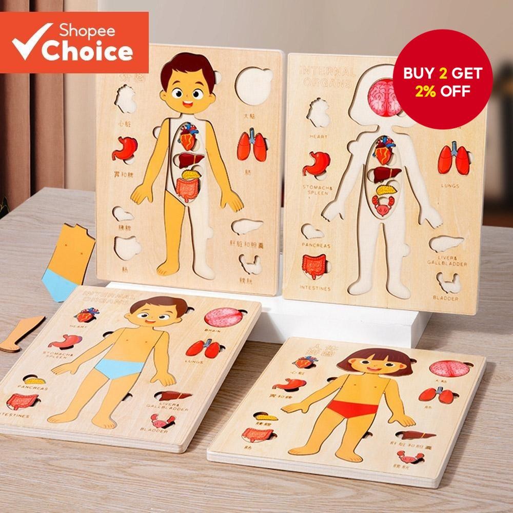Montessori Wooden Jigsaw Puzzles Anatomy Game Human Body Puzzles ...