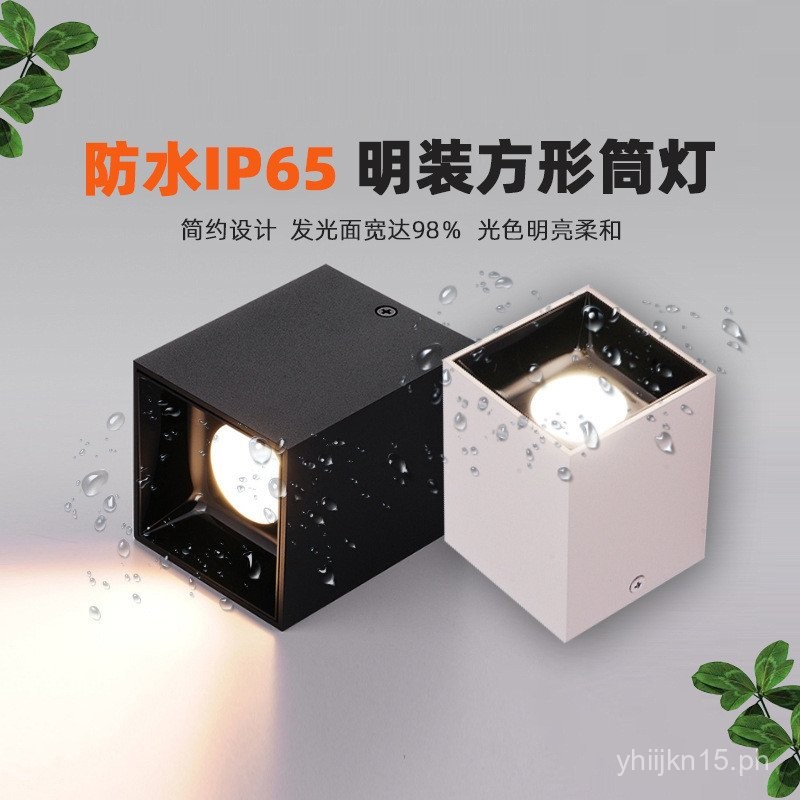 Surface Mounted Square Waterproof Downlight Outdoor Balcony Overhang ...