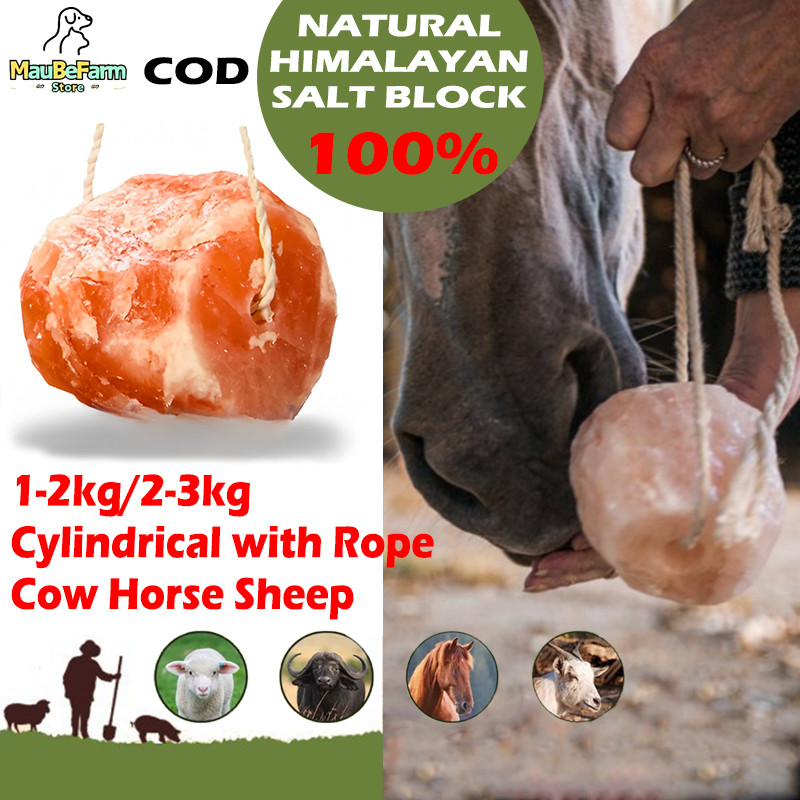 1-2kg\2-3kg Himalayan Mineral Salt Block Natural Salt Lick For ...