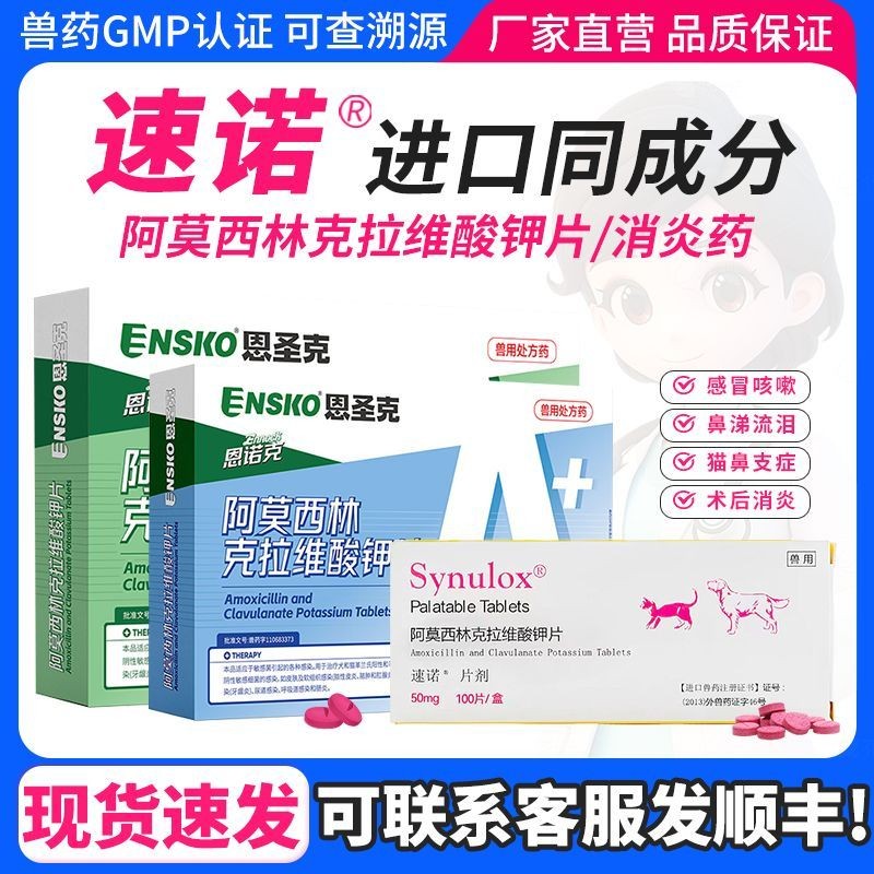 Suno Anti-Inflammatory Medicine Cat Nasal Branch Cat Dog Cold Cough ...