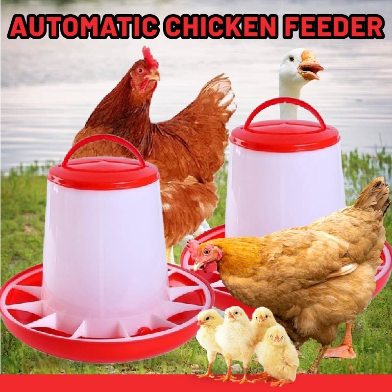 Automatic Chicken Feeder and Drinker Set Chicken Water Drinker Poultry ...