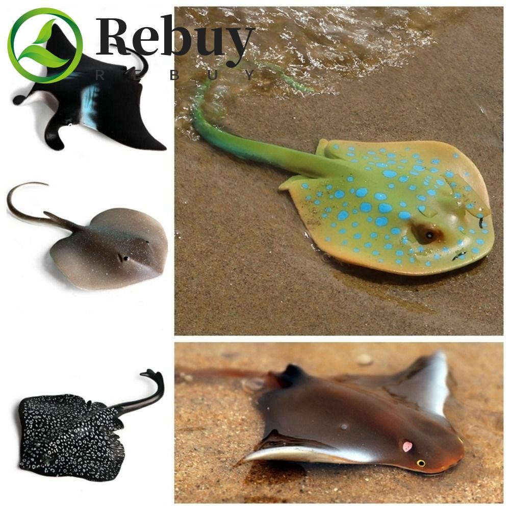 REBUY Manta Ray Model, Simulation Fish Model Ocean Animal Figures, DIY ...