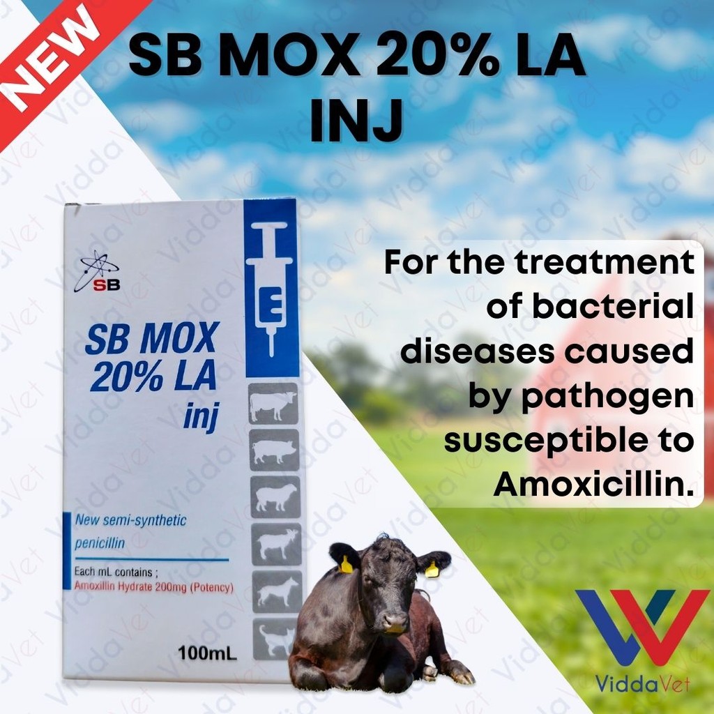 100 ml SB MOX 20% LA Amox La 200 made Korea same as Phylumox for mma ...