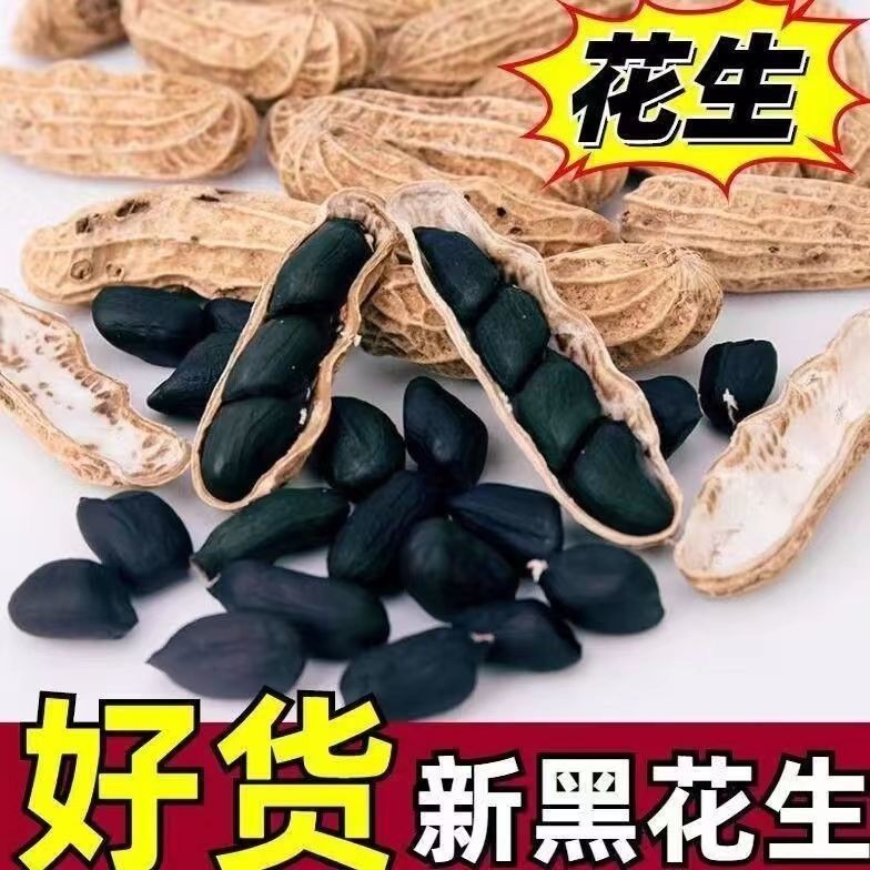 Shelled Black Peanuts Farm Homemade Selenium-rich Black Peanuts Shelled ...