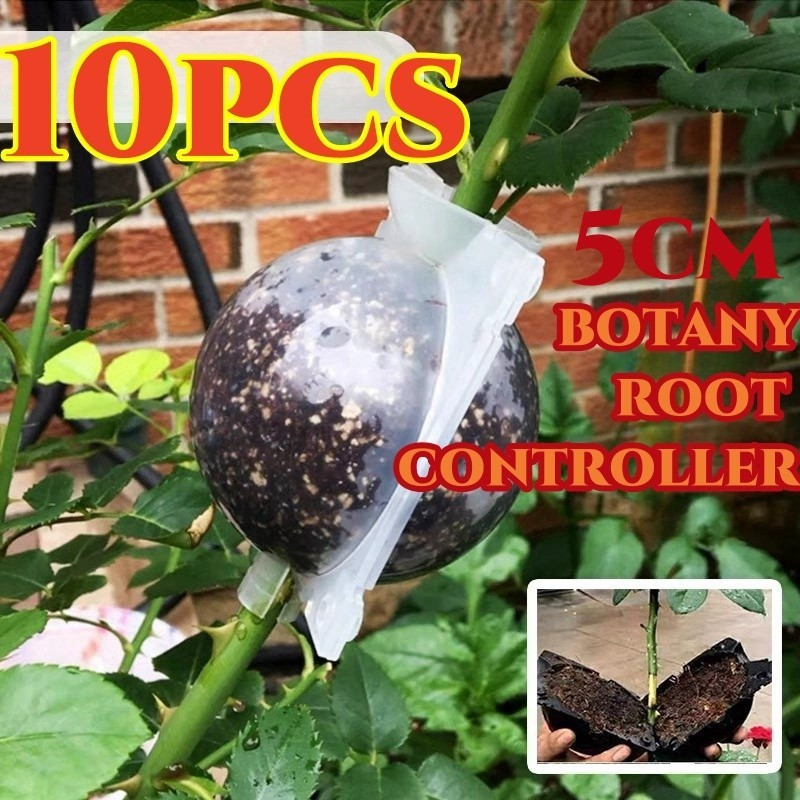 10Pcs Plant Rooting Device Plant Rooting Ball For High Pressure Damage ...
