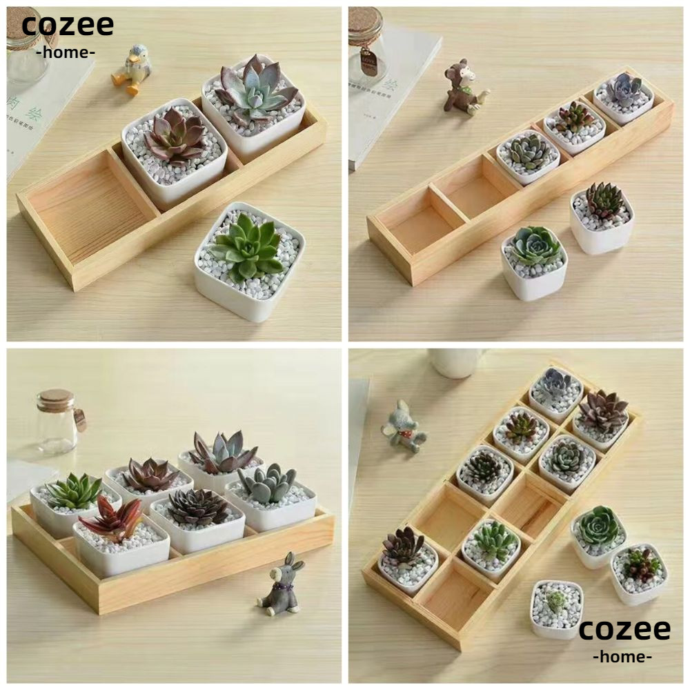 COZEE Succulent Flowerpot Tray, Multifunctional Multi-grids Storage Box ...
