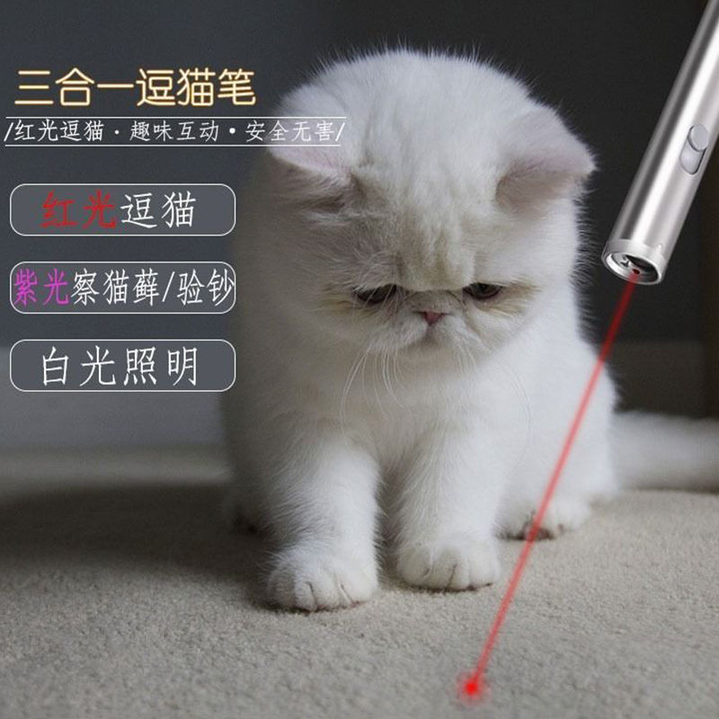 Laser Pen Rechargeable Self-Hi Relieving Stuffy Laser Pen Funny Cat ...