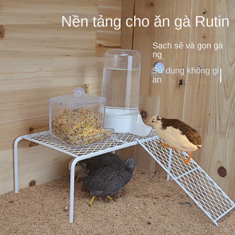 Rutin Chicken Stilt House Rutin Quail Chicken Farm Hamster House Rutin ...