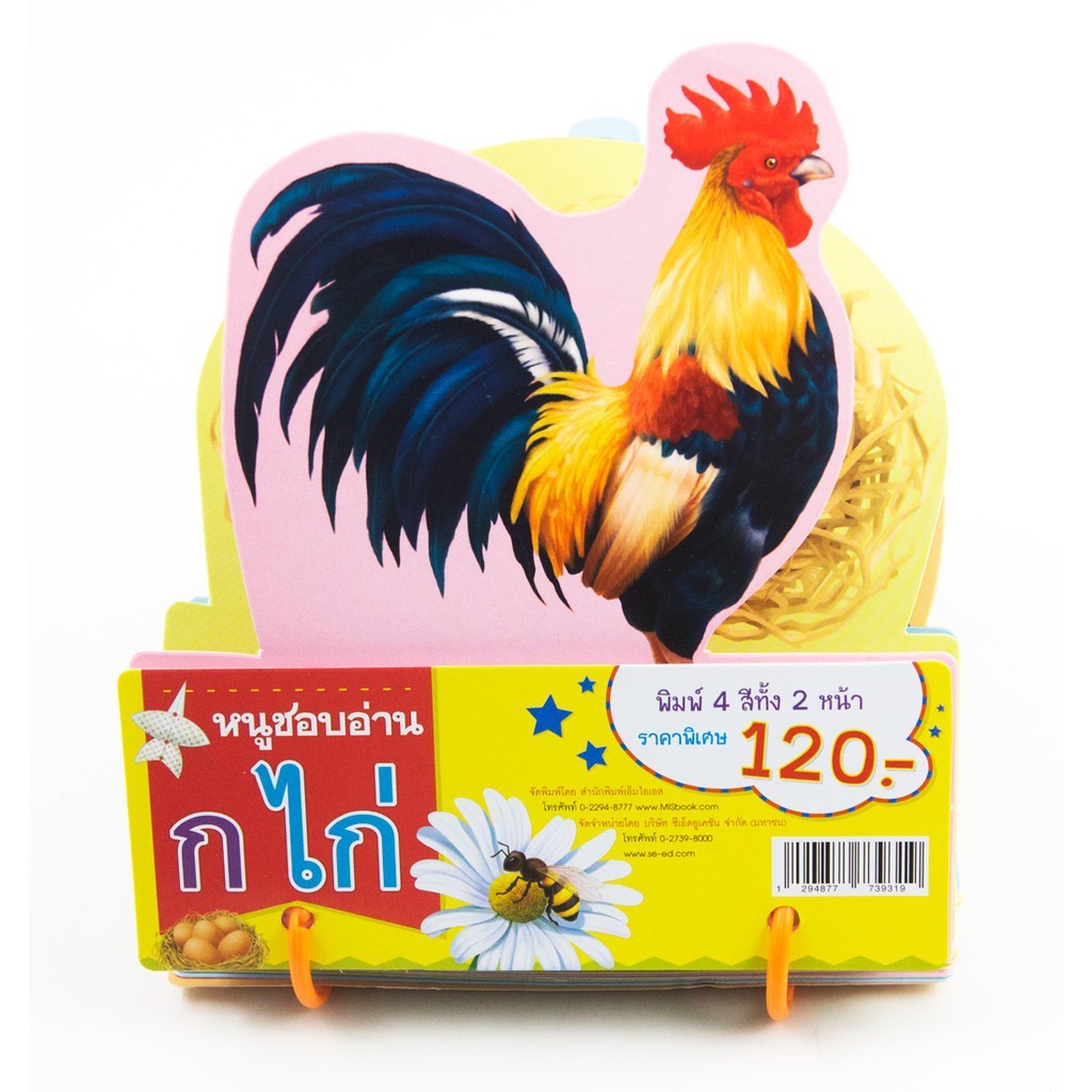 Flashcard Flash Card I Like To Read A Chicken With Cute Cartoon Image ...