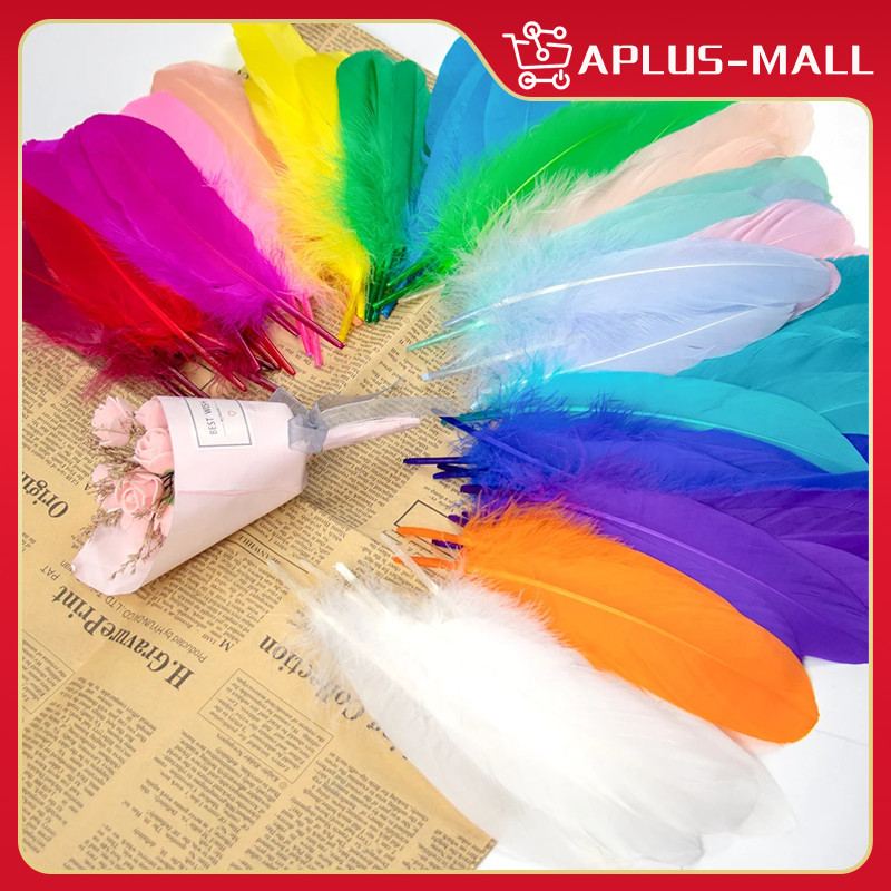 50Pcs White Pheasant Feathers Crafts Natural Feathers White Feather ...