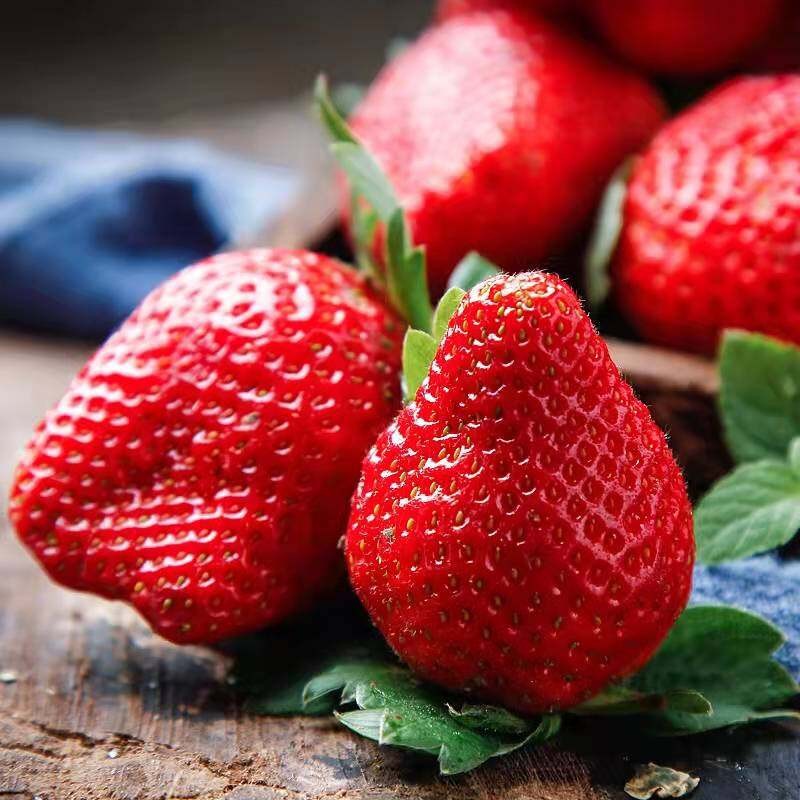 20seeds/pack Giant Strawberry Seeds for Planting-Strawberry Fruit ...