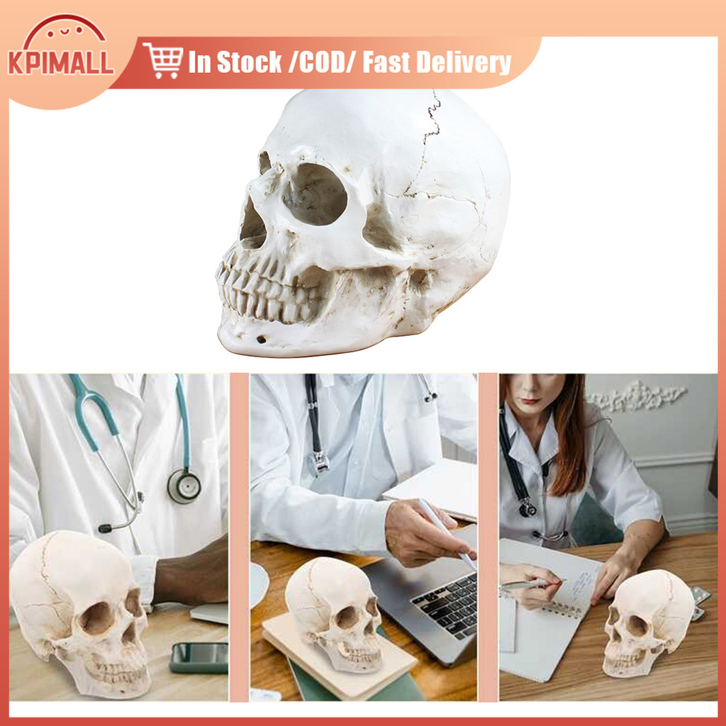 Skull Display Creepy Plastic Open Mouth Skull Skeleton Haunted House ...