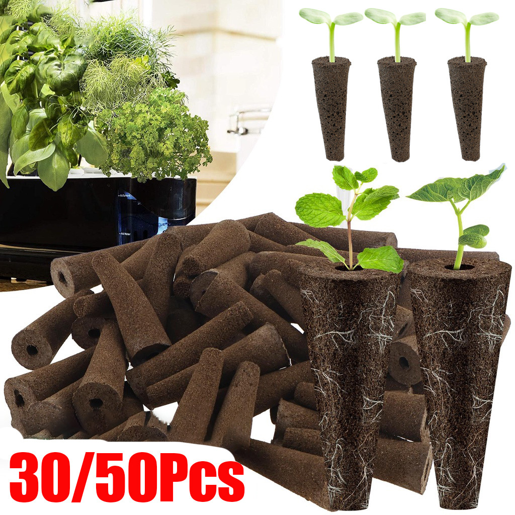 GG+30/50Pcs Hydroponics Seed Grow Sponges Replacement Root Growth ...