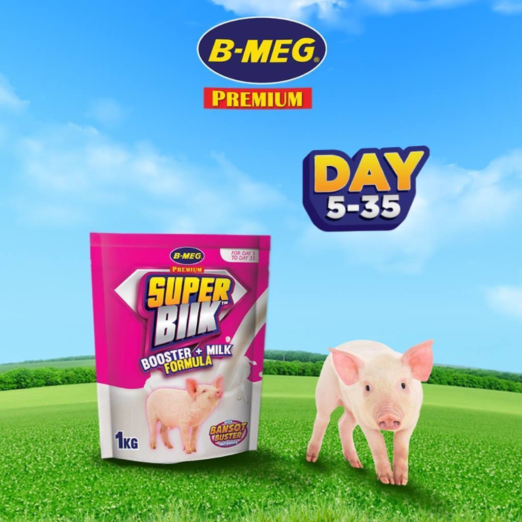Super Biik 1kg – Optimal Growth Formula for Pigs Viddavet feed for pigs ...