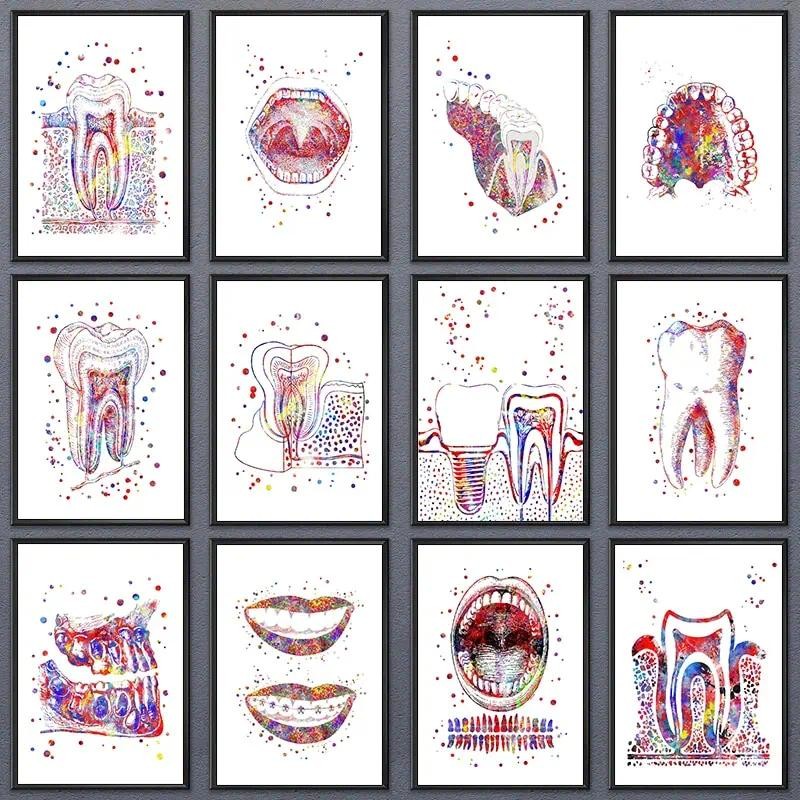 Dental Anatomy Art Tooth Section Poster for Dentist Office Wall Decor ...