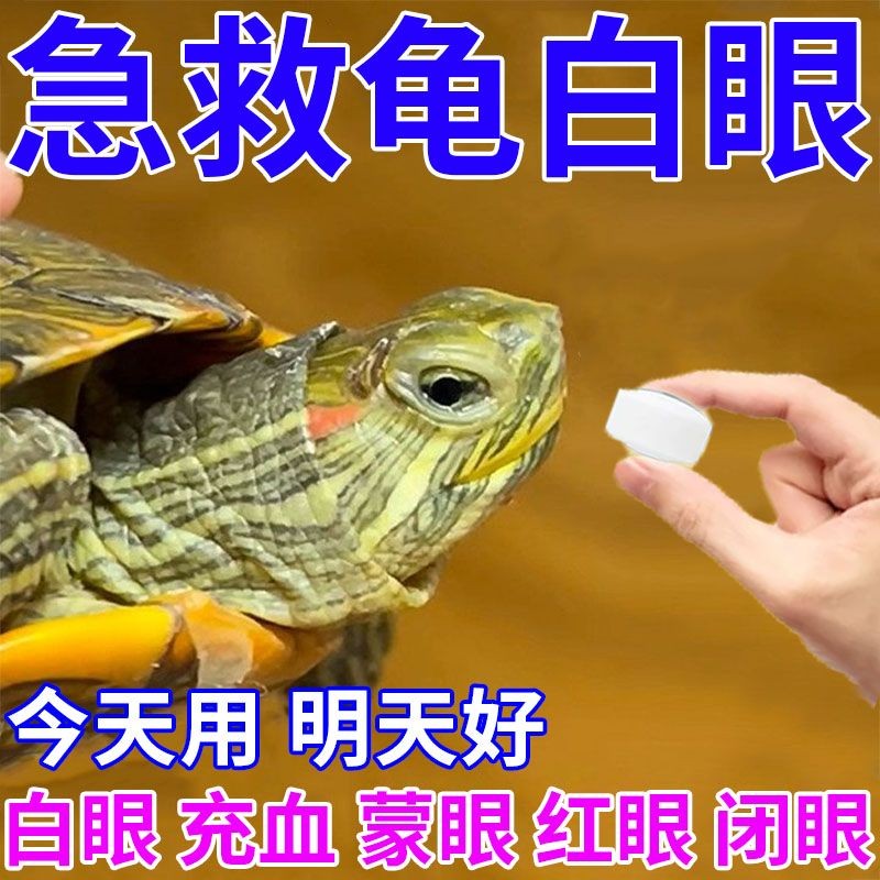 Turtle Eye Disease Dedicated Medicine White Eye Disease White Eye ...