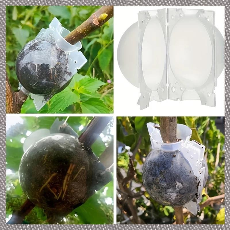 [M G L O] Tree Root Growing Box, Rooting Ball Grafting Tools,Air ...