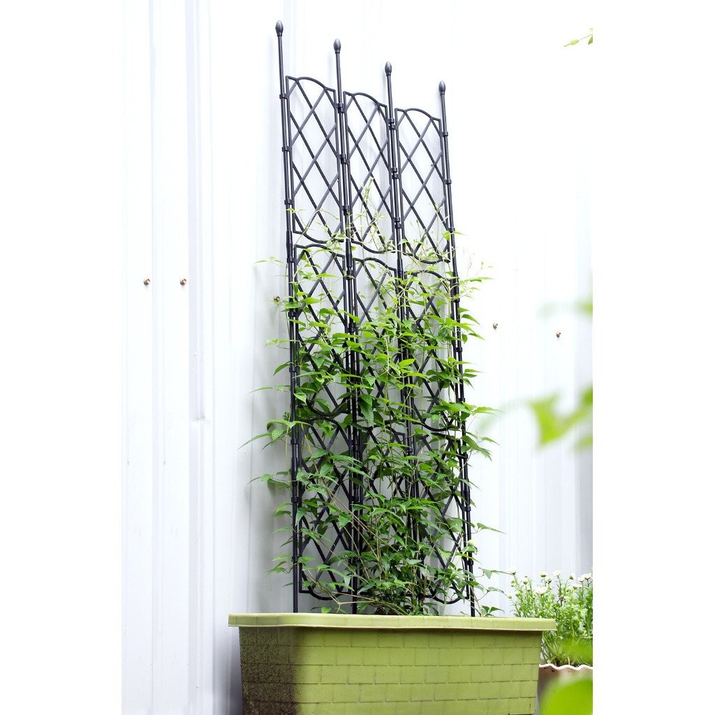 European Plant Lattice Clematis Balcony Chinese Rose Flower Stand ...