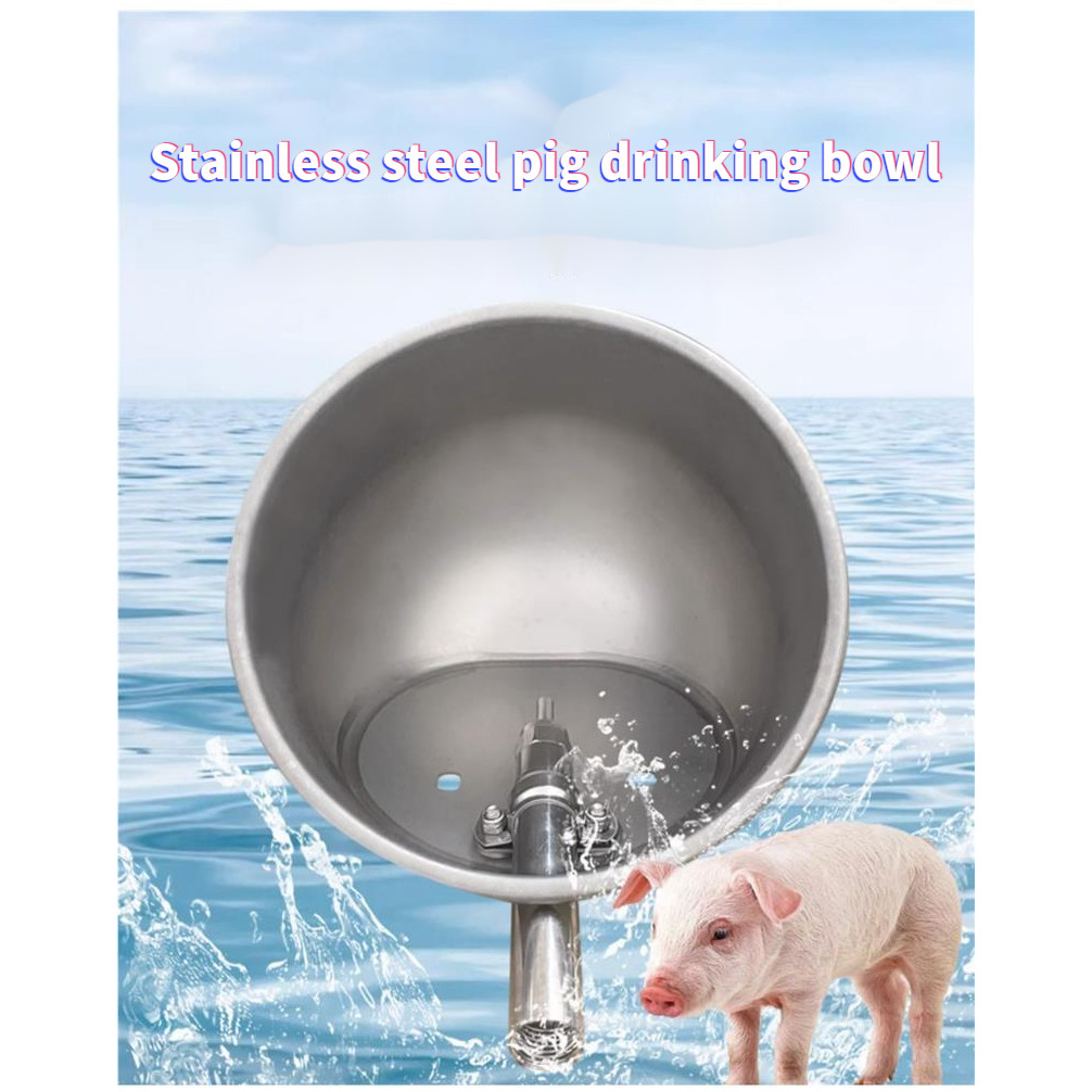 Pig Farm Piglets With Automatic Drinking Fountain Sow Drinking Bowl ...
