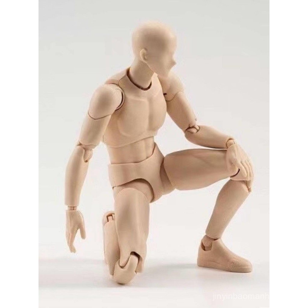 SHF Full Body Movable Jointed Doll figma Handheld Model Art Drawing ...