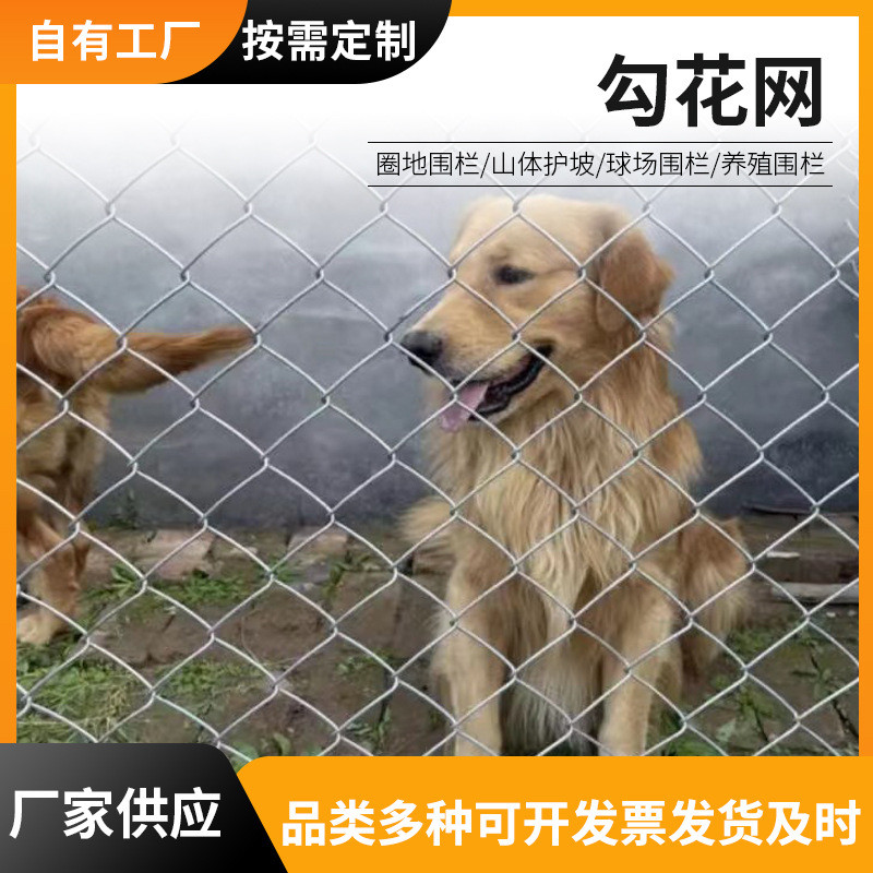 Breeding Chain Link Fence Galvanized Wire Mesh Steel Wire Fence Chicken ...