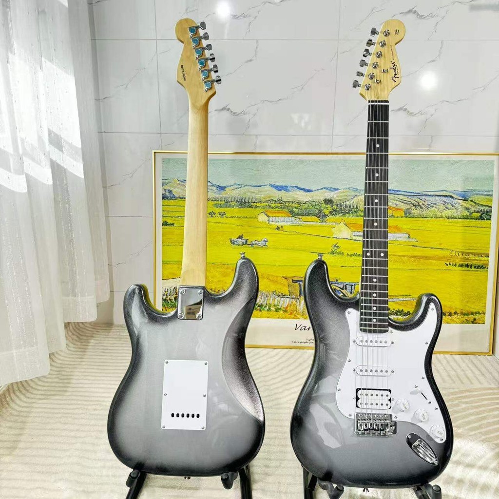 Fender Stratocaster Electric Guitar Grey Burst Professional Guitar ...