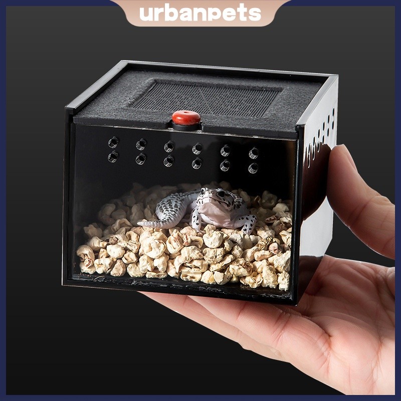 Mini Acrylic Reptile Box Transparent Spider Cage Breeding And Carrying ...