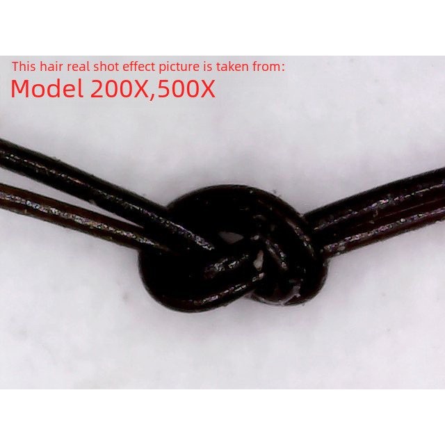 White to Black Hair Growth Scalp Detector Hair Follicle Instrument ...