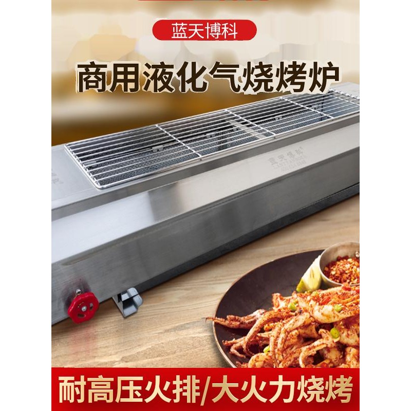Blue Sky Boko Liquefied Gas BBQ Grill Commercial Natural Gas Smokeless ...