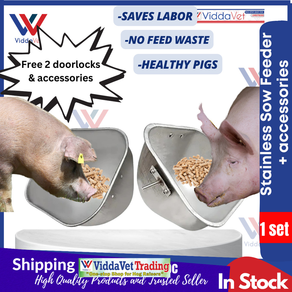 Sow feeder with door locks and accessories sow pig pig farming ...