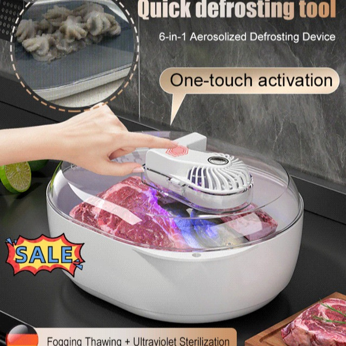 【The Lowest Price】6-in-1 Atomized Quick Thawing Artifact/Large Capacity ...