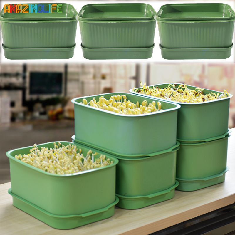 Non Deformable Green Vegetable Flower Seed Germination Basin ...