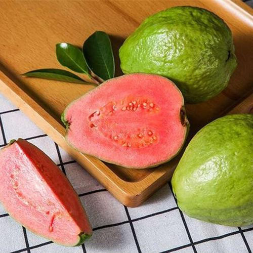 50pcs Guava Seeds Rare Fruit, Fun to Grow--Fruit seeds Local | Shopee ...