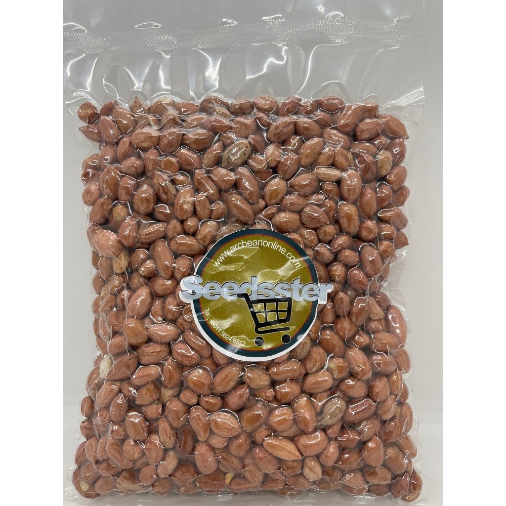 100 grams 100% fresh raw peanuts | Shopee Philippines