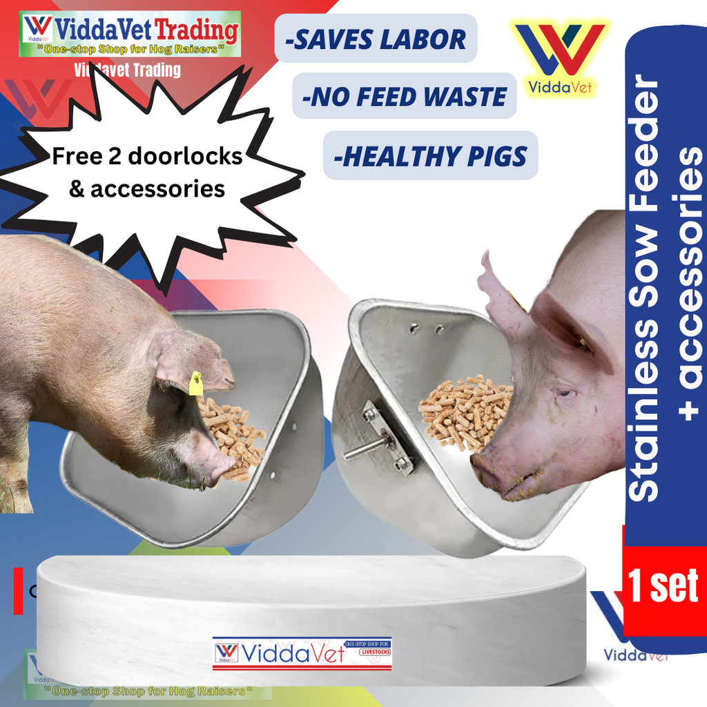 SS304 Sow feeder for pig farm Farrowing Feeder Pig with door locks and ...