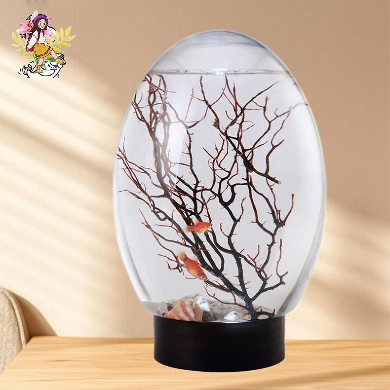 Fish Tank with LED Light Desktop Aquarium Self Sustaining Ecosystem ...
