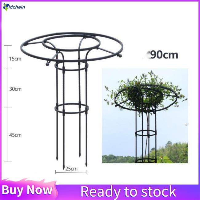 Big Sale! Garden Circular Trellis, Black Steel Frame Umbrella Trellis ...