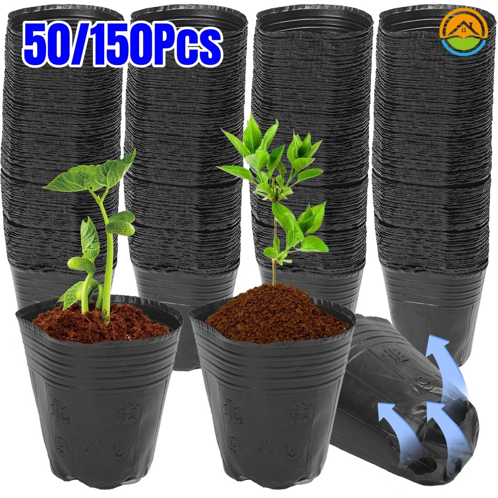 Durable Plant Propagation Cups - Black Plastic Seedling Nursery ...
