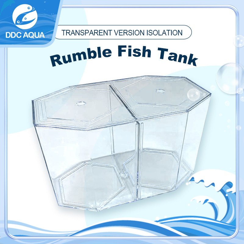 【DDC AQUA】 Aquarium Double Betta Fish Tank Dual BettaHex Clear Tank ...