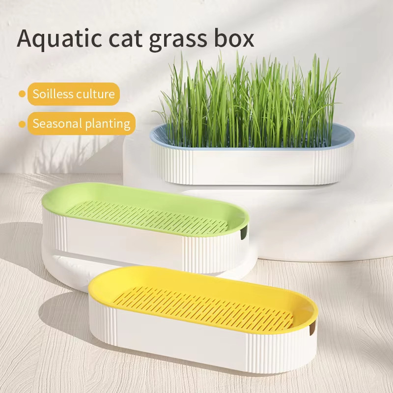 Cat Grass Seed Box Soilless Hydroponic Planting Organic Pet Cat Grass ...
