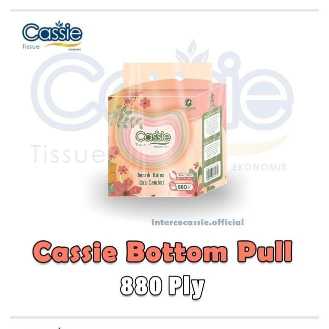 Gg FACIAL TISSUE CASSIE 880 SHEETS 2 PLY FACIAL TISSUE BOTTOM PULL ...
