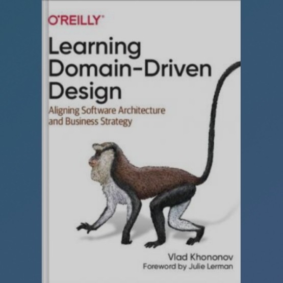 Learning Domain-Driven Design Book | Shopee Philippines