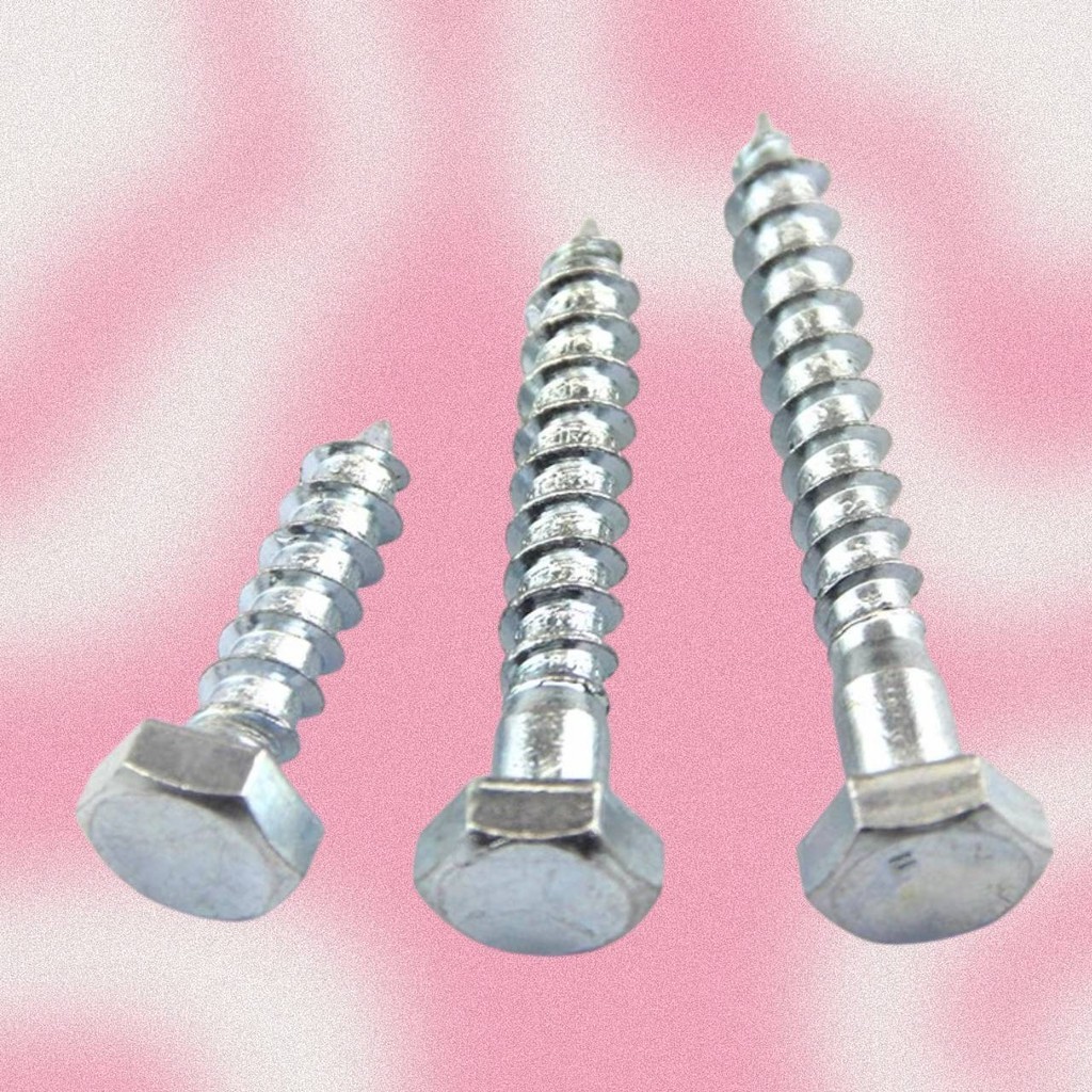 Voschtech Lag Bolt Hex Head – Galvanized Steel per/PC | Shopee Philippines